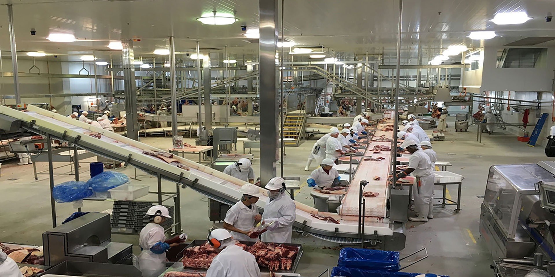 ACC Boning Room - CE Group Electrical Industrial Contractor