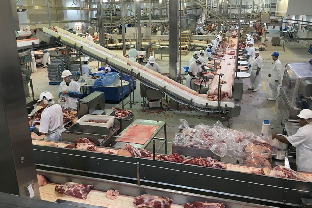 ACC Boning Room - CE Group Electrical Industrial Contractor