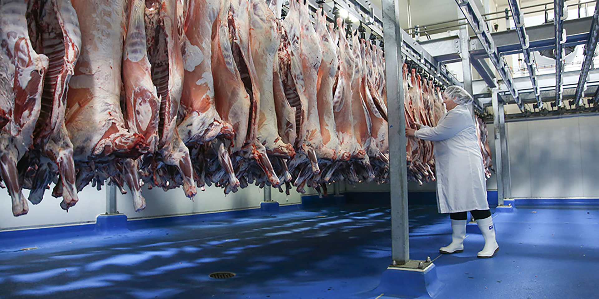 CJ Nutracon Meat and Bone Marrow Processing Plant - CE Group