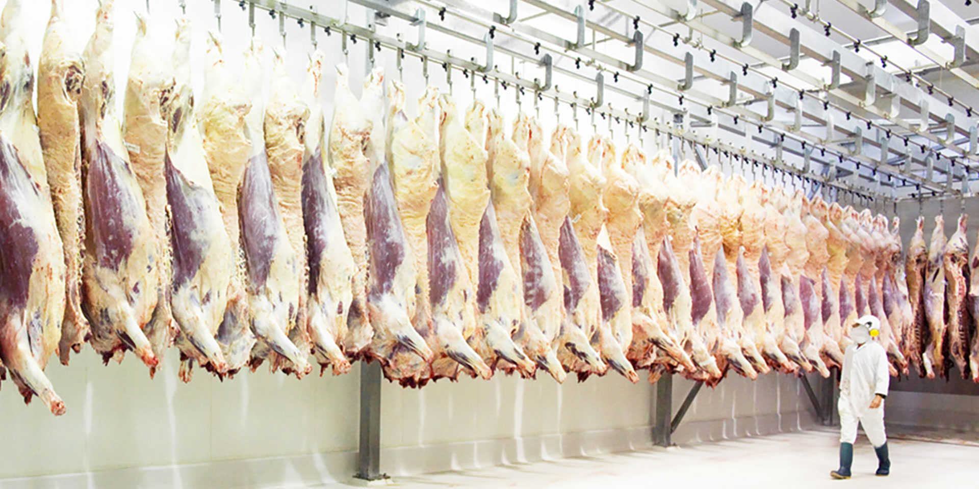 KPC Carcass Conveyors - CE Group